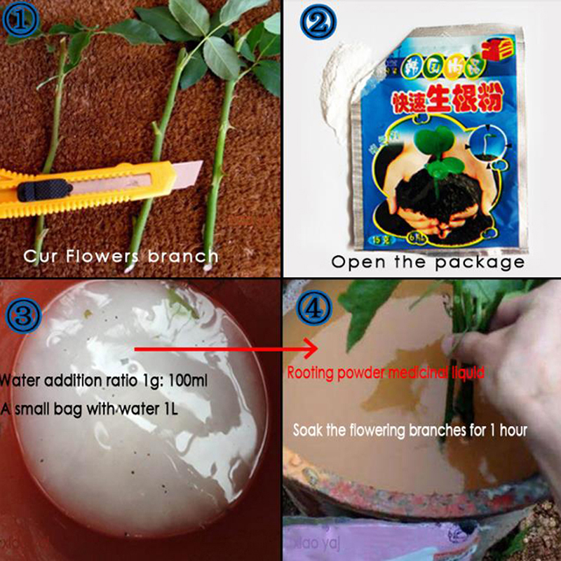 10Bag Bonsai Plant Rapid Growth Root Medicinal Hormone Regulators Aid Fertili Pe