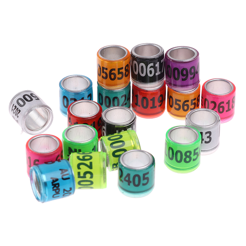 20 pcs Pigeon Foot Ring With Word Earrings 2021 Multicolor Bird Tools