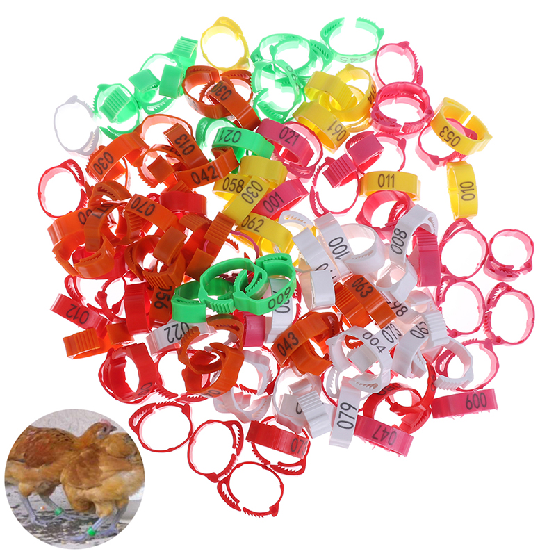 100PC Chicken Foot Ring Adjustable Size Poultry Leg Digital Label ...