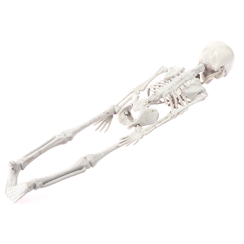 40cm Halloween Tricky Props Horror Skeleton Skeleton Scene Decoration ...