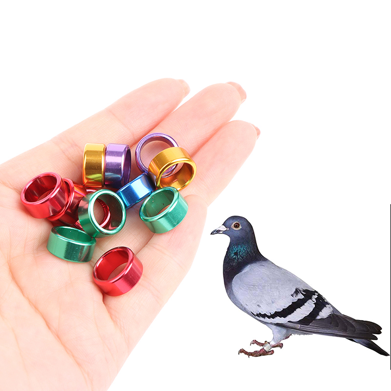 10 pcs Pigeon Foot Ring Inner diameter 10mm height 6mm Aluminum Foot tag ring Pe