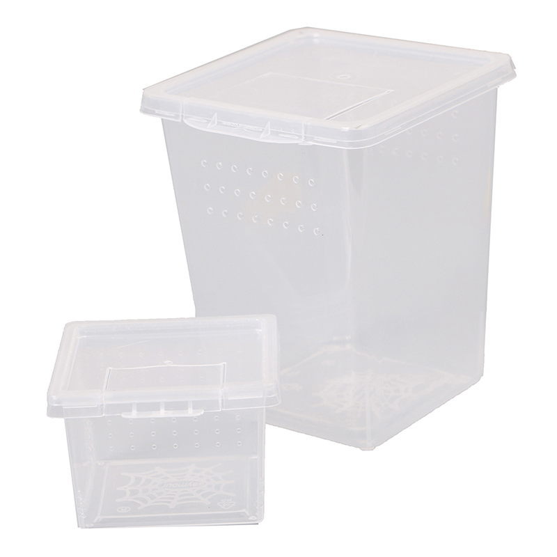 Scatola mangime per ragno insetto custodia in plastica valigia trasporto blindato