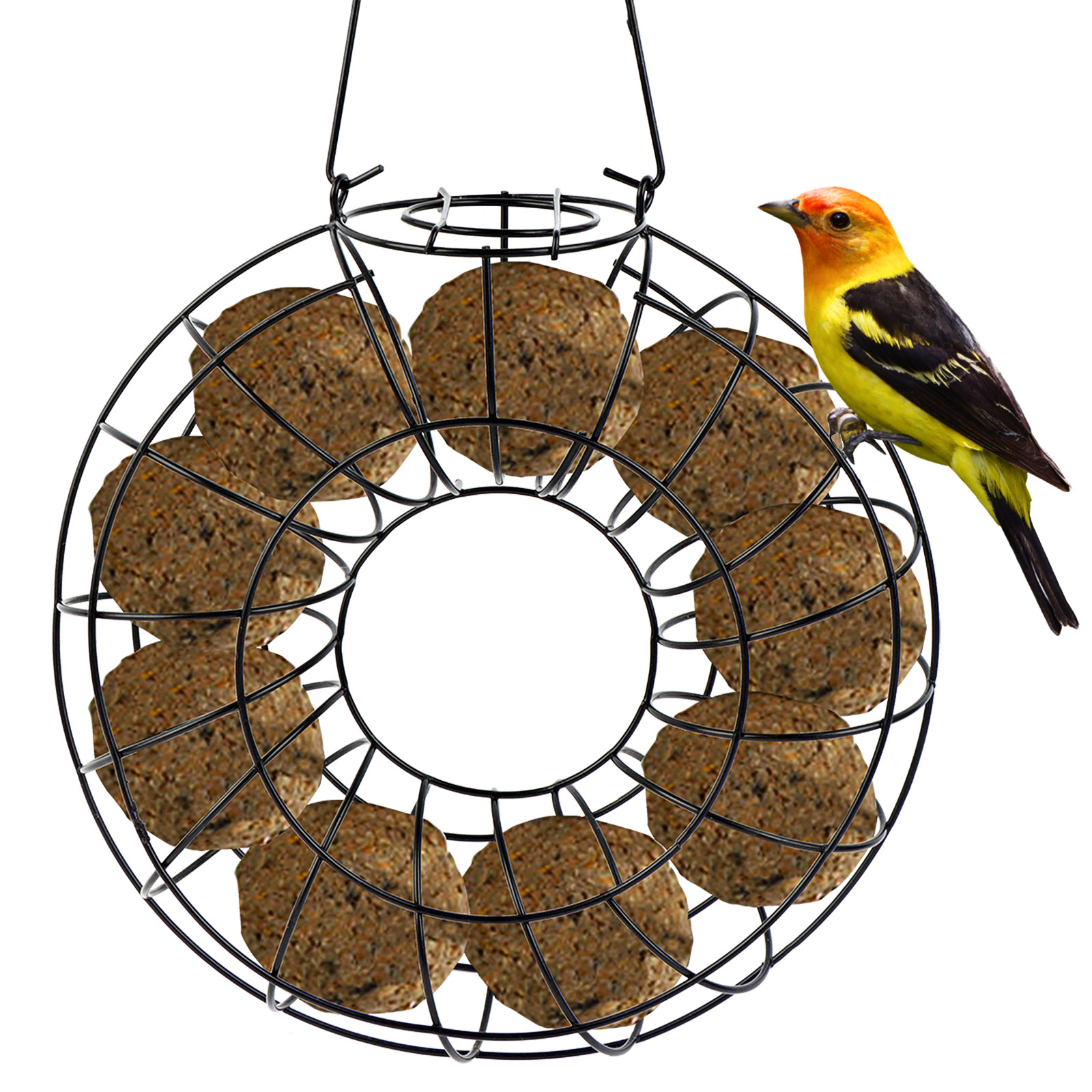 Fat Ball Feeder, Metal Fat Ball Holder for Birds Hanging with Metal Mesh