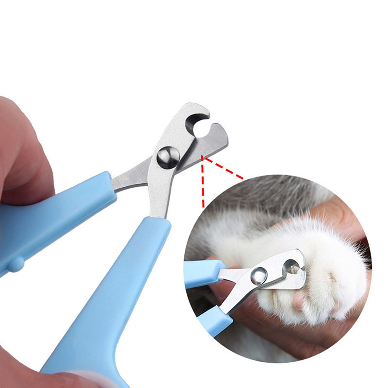 Taglia unghie per animali domestici gatto acciaio inox taglia unghie forniture per pulizia animali domestici S P2 TS