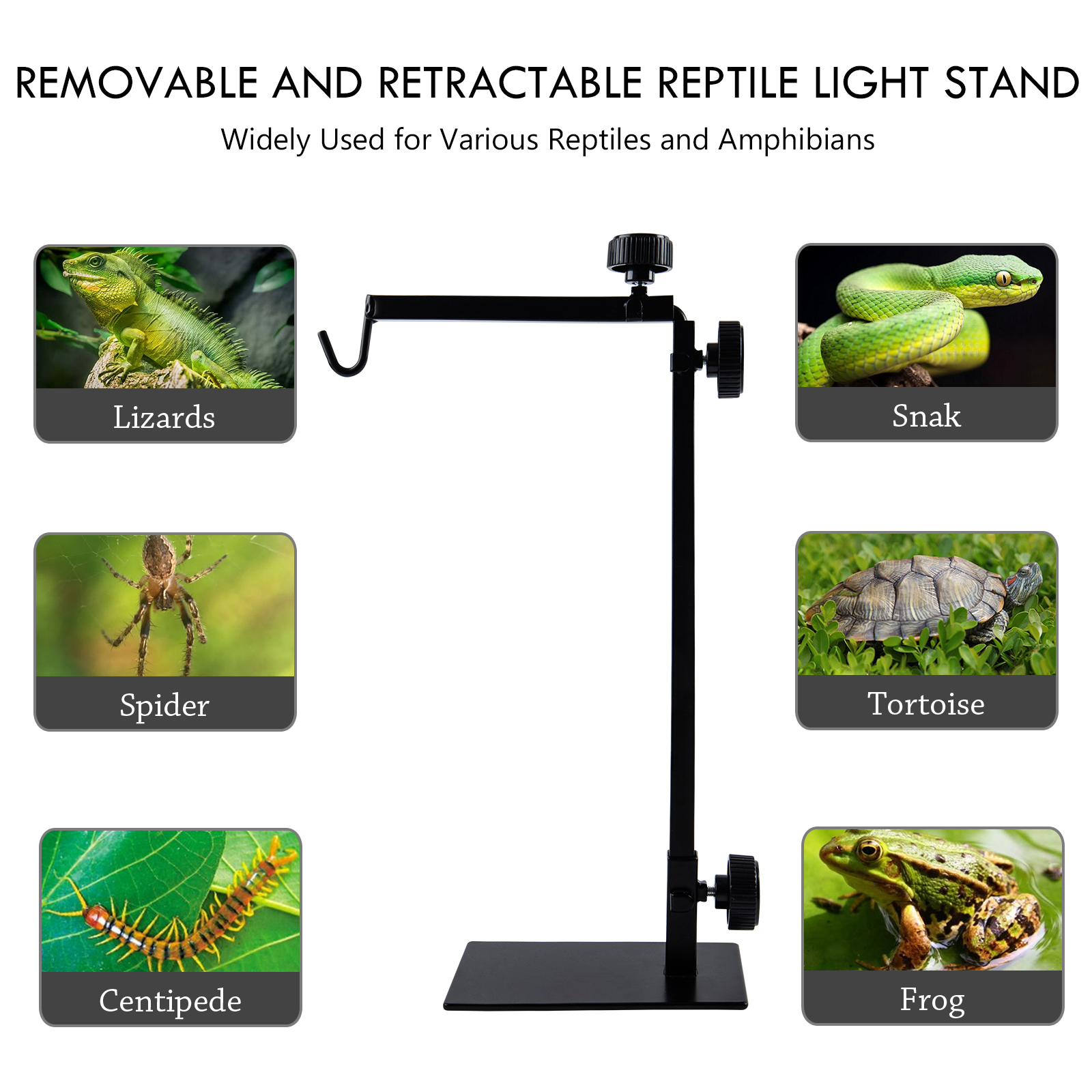 Support de lampe de la lampe reptile