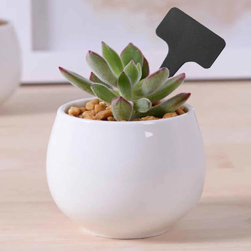 100 pz etichette per piante nere tipi di acqua etichette per piante riutilizzabili vivaio giardino laboratorio Th