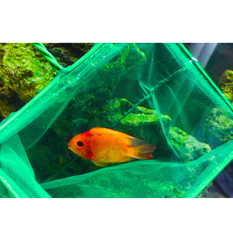 1Pc Green Aquarium Fish Tank Square Shrimp Small Betta Fish Net 3"-10 ...