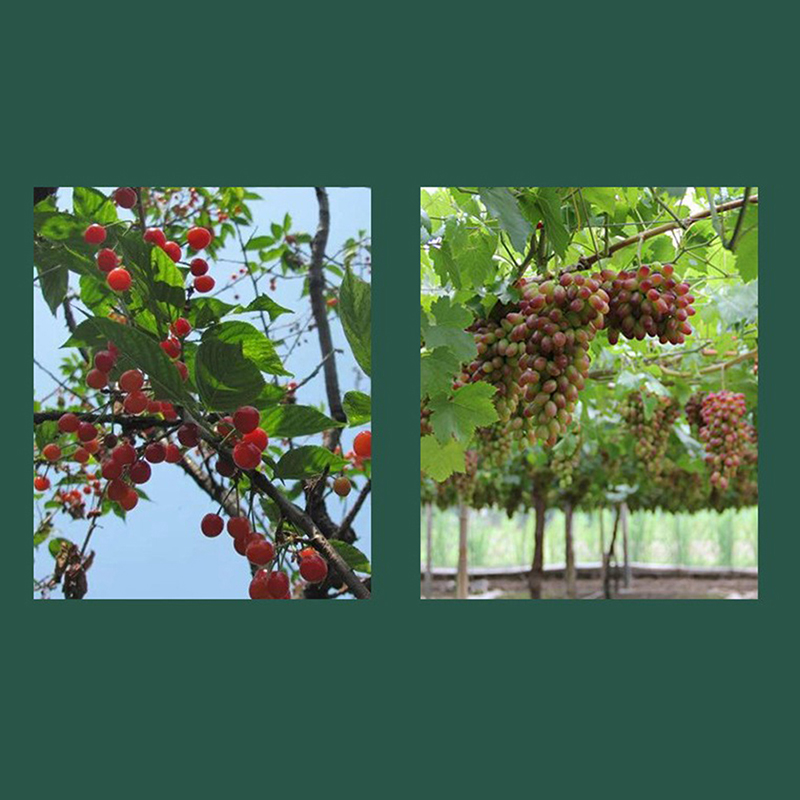 Rotating Reflective Rod Bird Repeller Bird Spiral Reflectors Scare Tool ...