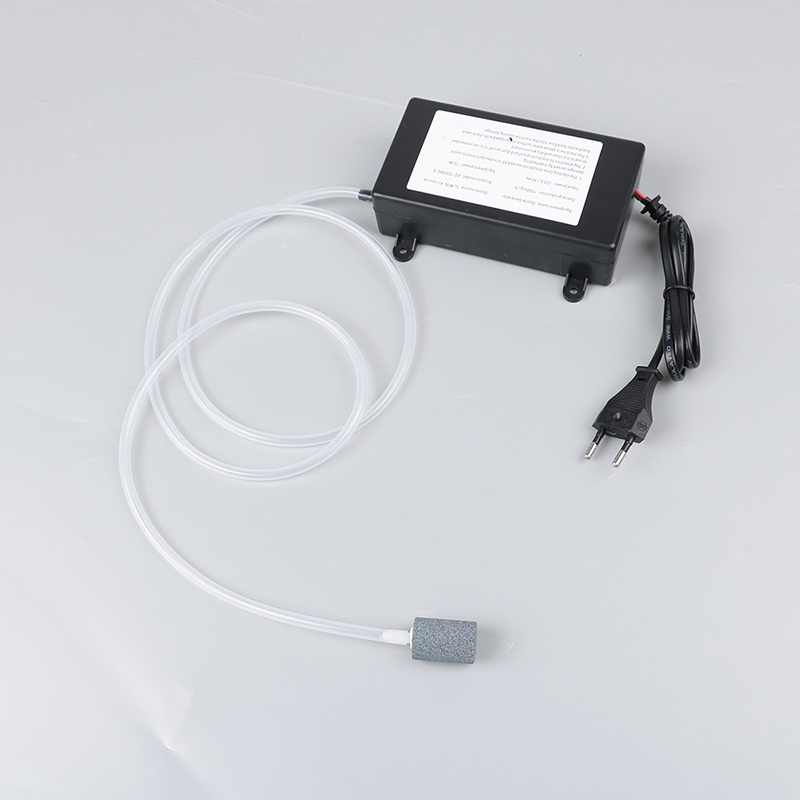 Générateur d'ozone 1000mg Ozonizer Water Air Purificer Purificer Traitement