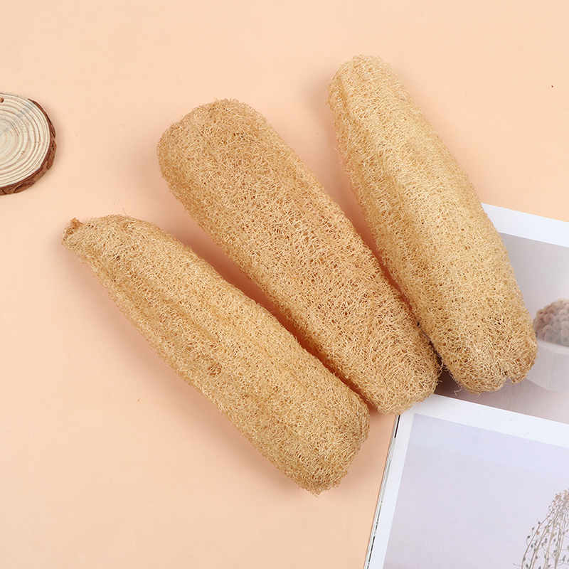 1Pc Natural Loofah Luffa Kitchen Cleaning Brush Pot Bowl Sponge ...