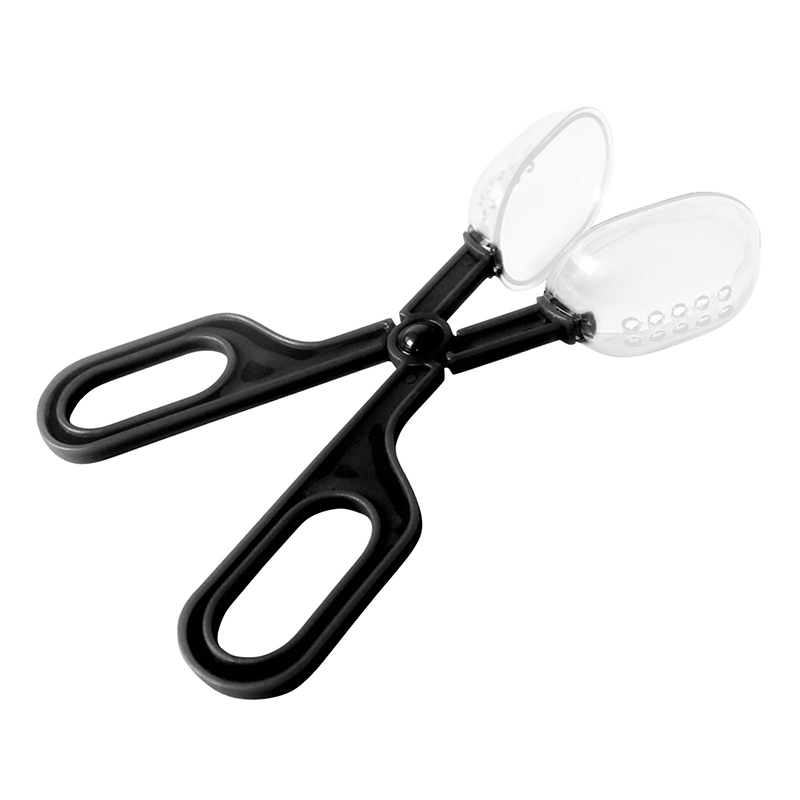 Clip gabbia regina apicoltrice plastica apicoltore attrezzatura apicoltura apicoltore ~ u BJUK