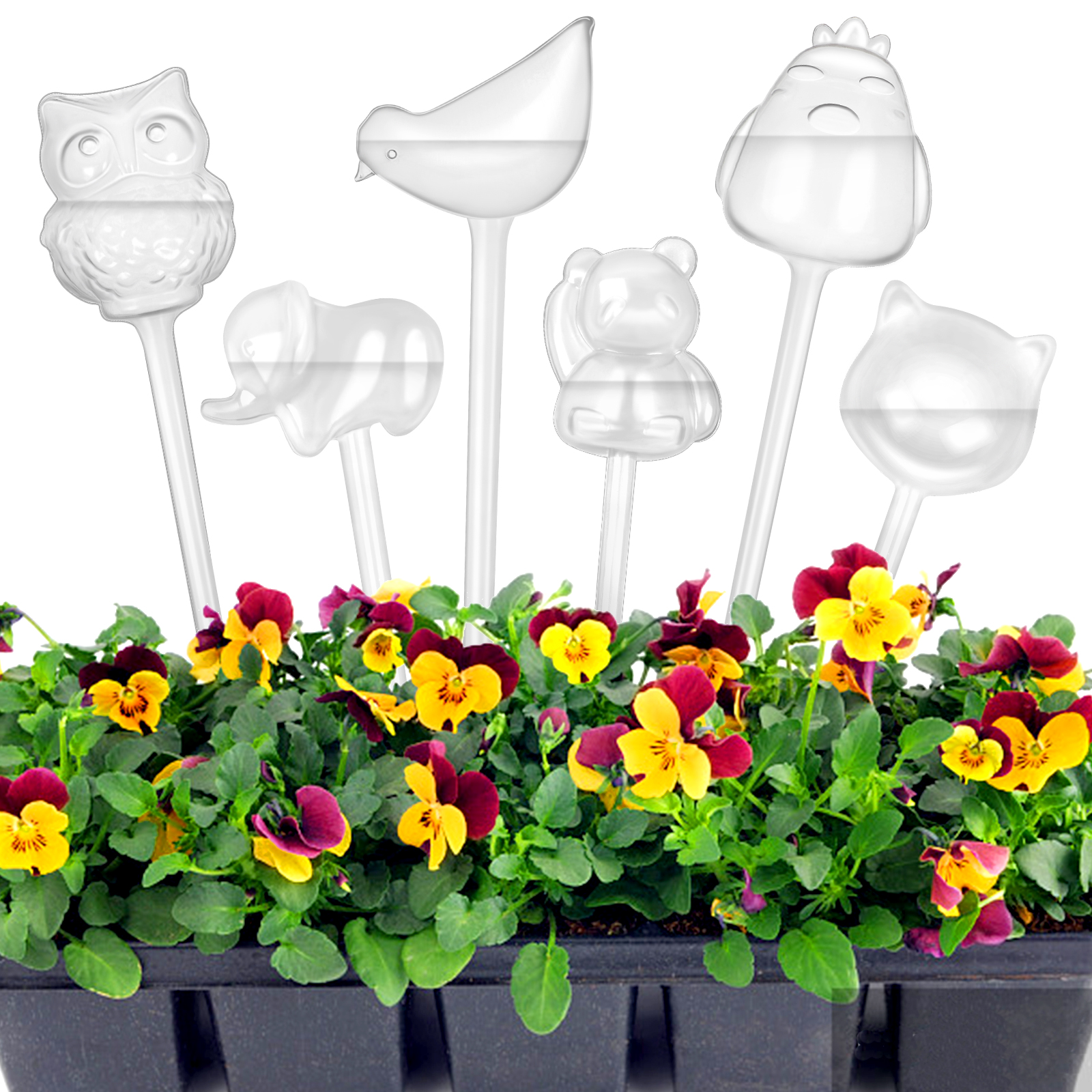 Grandes globes d'arrosage des plantes PVC