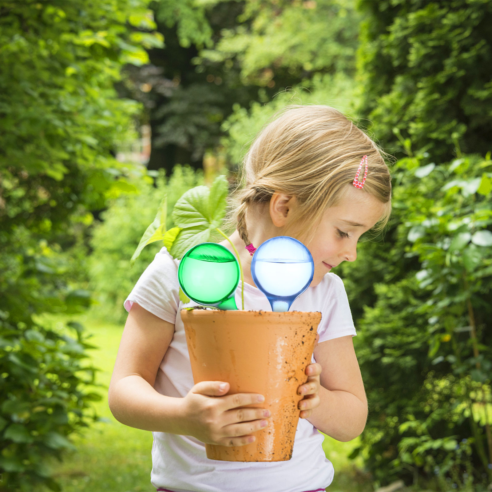 12 pcs arrosage des plantes globes d'auto-arrosage