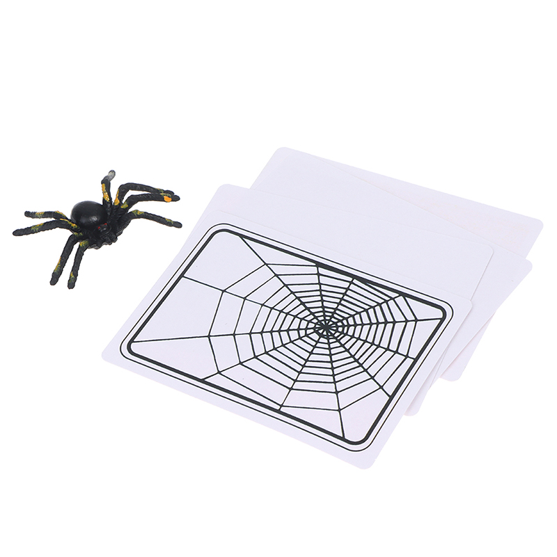 Spider and Net Magic Trick Toys Magician Gimmick Illusion Magic Props chiuso  ql