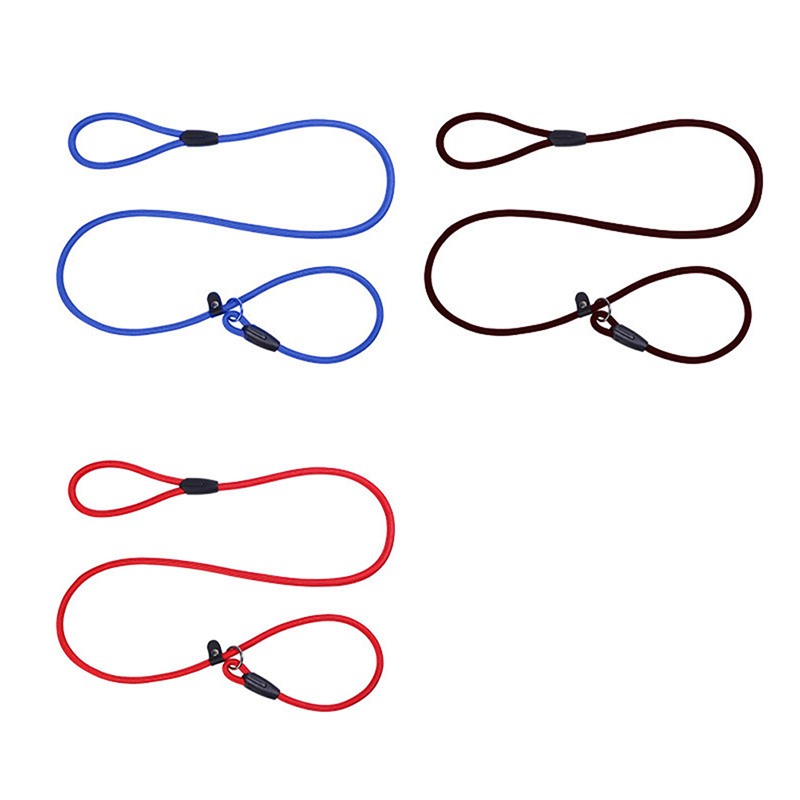 Guinzaglio piombo slip on corda in nylon cane cucciolo animale domestico addestramento senza collare necessario nuovo❤ GA Sb