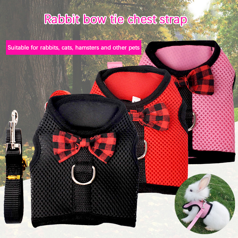 1 ensemble de lapins