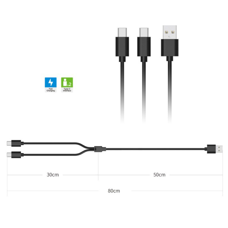 Cavo dati USB 2 in 1 cavo caricabatterie cavo di ricarica interfaccia tipo c compatibile con PSV BII