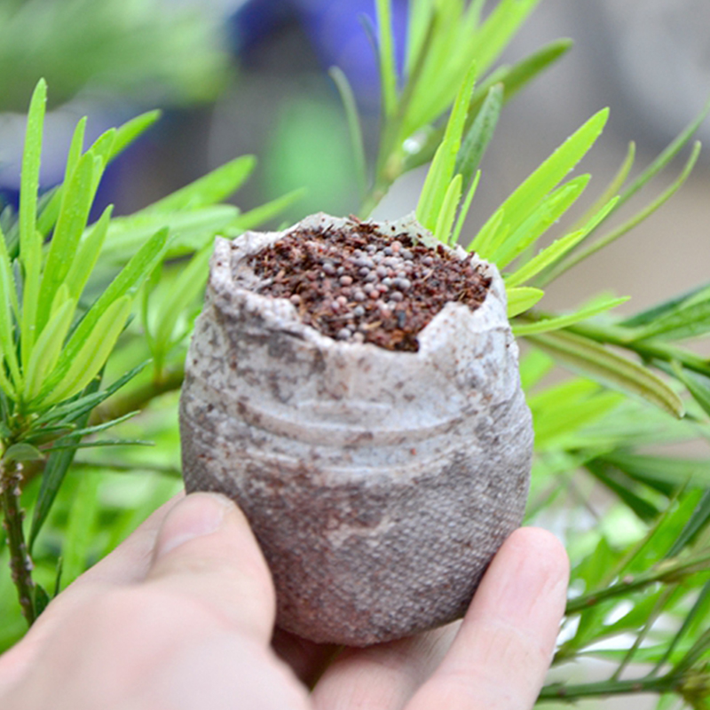 5 Pcs Nursery Block Peat Pellets for Garden Flowers Planting Agriculture Gree ba