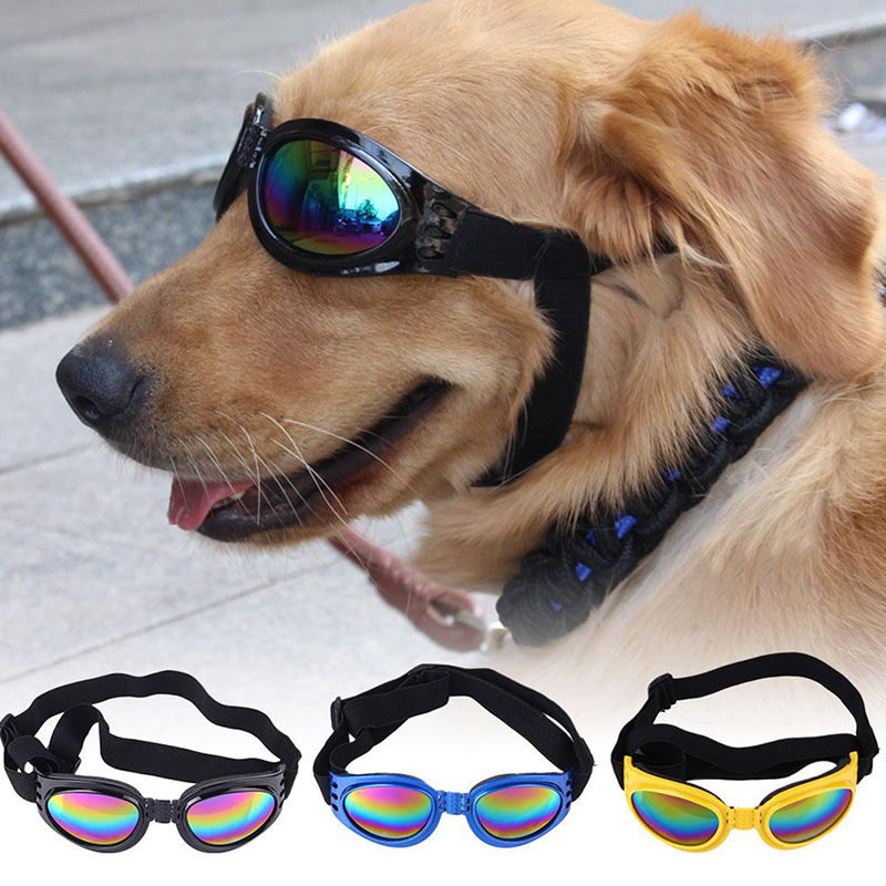 Lunettes de soleil pour chiens de compagnie -xp -wf