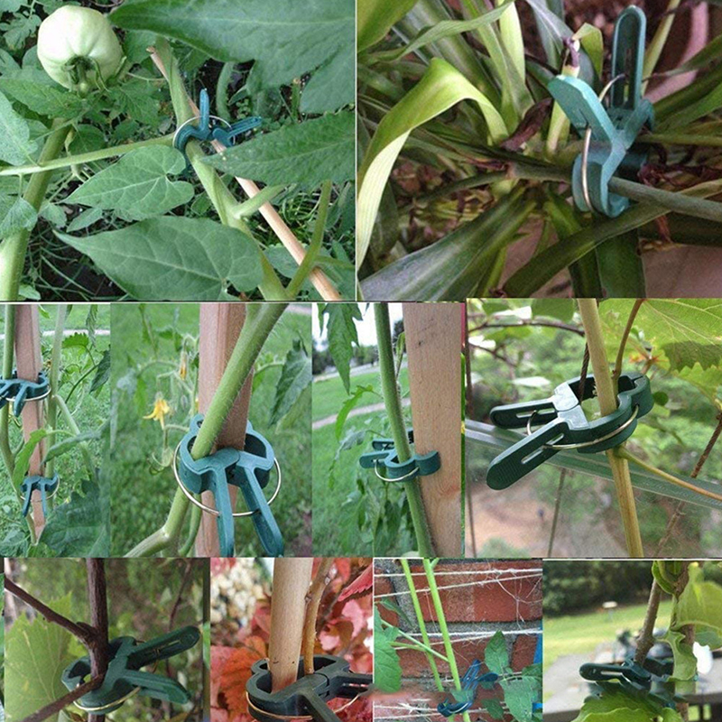 20pcs Plant Support Clips Flower and Vine Garden Tomato Plant Support Clips EI