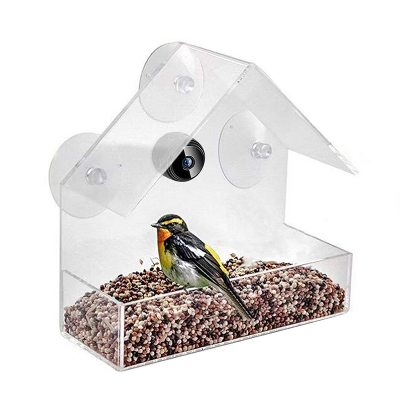 Scala per mangime per volatili con fotocamera, appendiabiti acrilici intelligenti - birdhouse TS