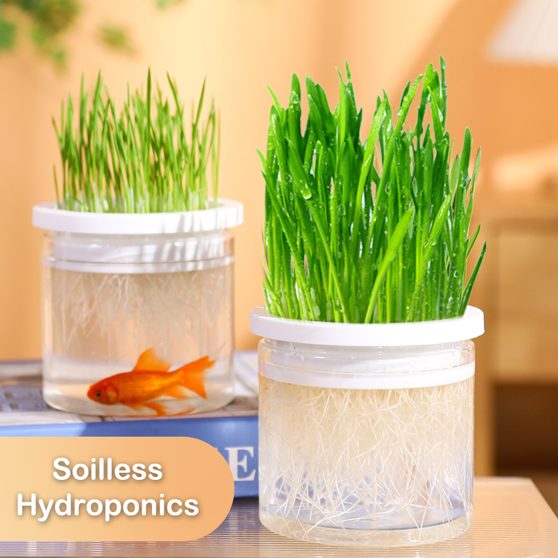 Scatola per piantagione di snack per gatti colore vaso pigro senza suolo idroponico gatto erba BII