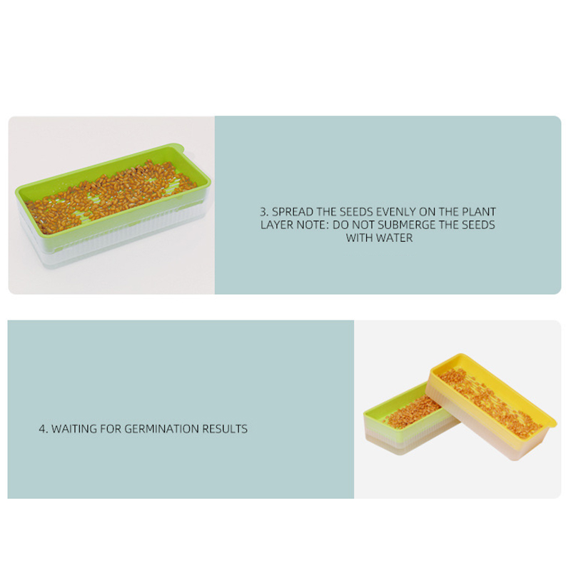 Scatola per piantagione di snack per gatti colore vaso pigro senza suolo idroponico gatto erba BII