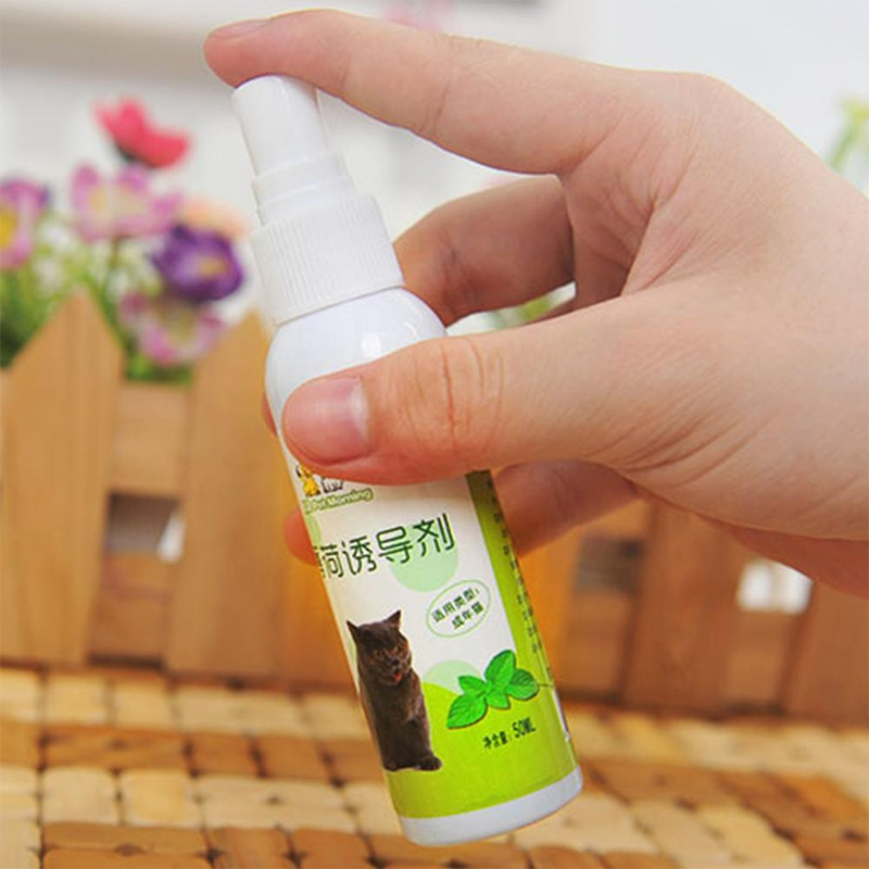50ml Catnip Spray Cat Excitement Toy Cat Organic Natural Scratch Healthy Indu Pe
