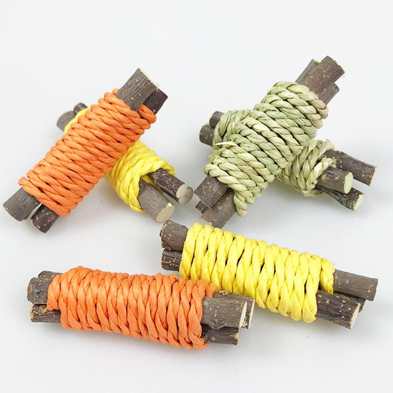 Animale domestico coniglio ramo di mela erba tessuto ramo di mela rotolo molare stick criceto Le