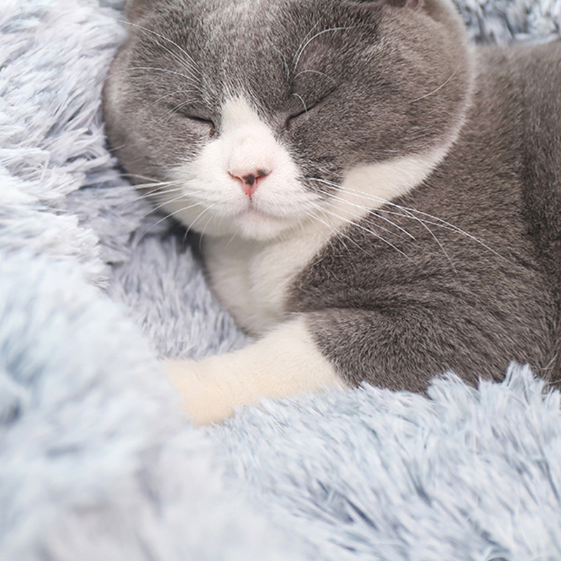 Pet Dog Bed Comfortable Donut Round Dog And Cat Cushion Bed Winter Warm Dogho Pe