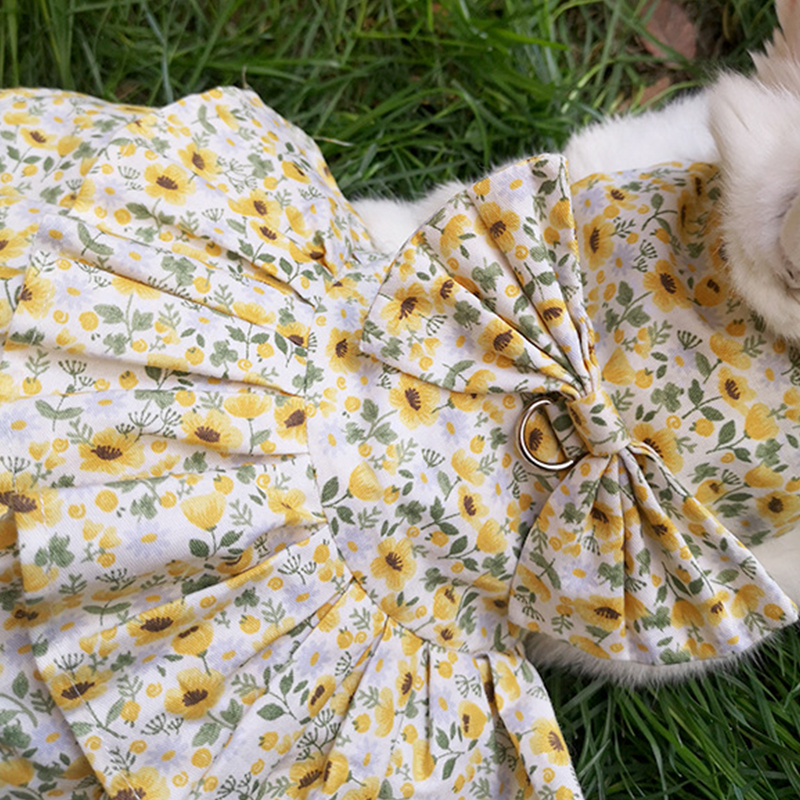 Petit animal harnais