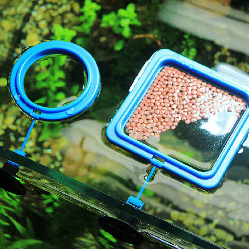 Aquarium Feeding Ring Fish Tank Station Floating Food Tray Feeder Square Circ Pe