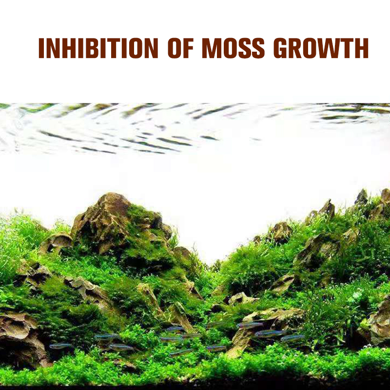 Natural Terminalia Catappa foglie decorazione acquario pulizia acquario TooDS