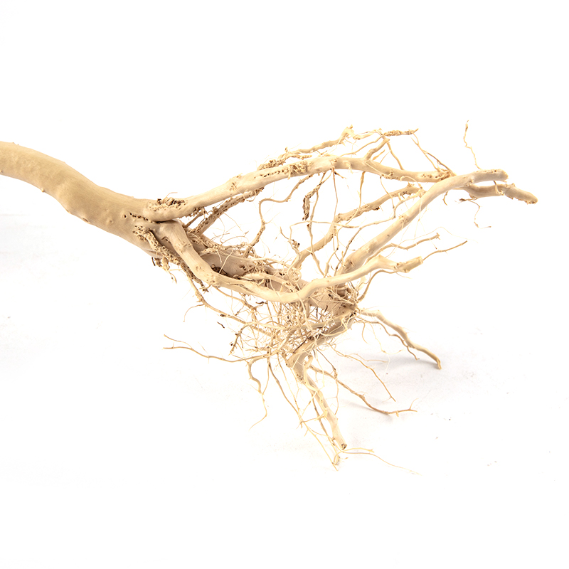Fai da te acquario Driftwood muschio albero acquario acquario acquario acquario ornamento paesaggio bonsai decorazioneI4UK