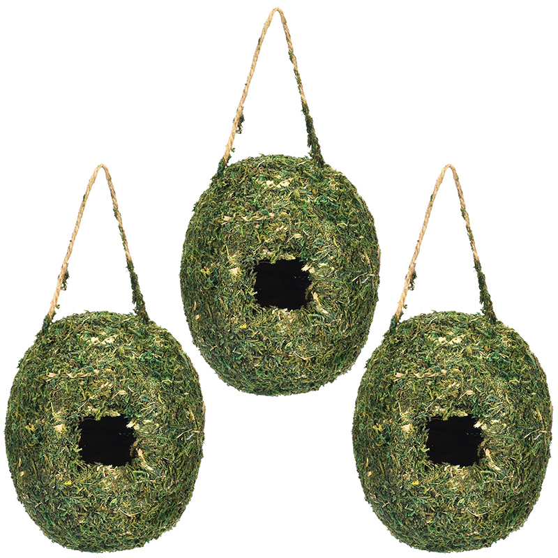 Nido muschio ovale all'aperto casa colibrì piccolo appeso erba naturale .d Sn