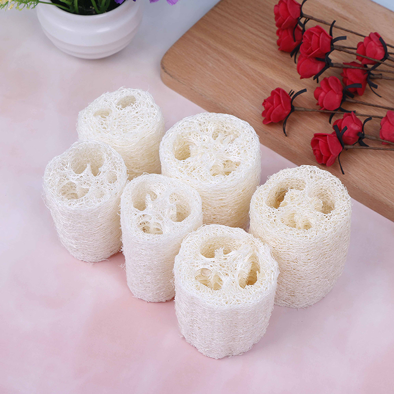 6Pcs Natural Loofah Luffa Loofa Spa Bath Sponge Kitchen Clean Scrubber ...