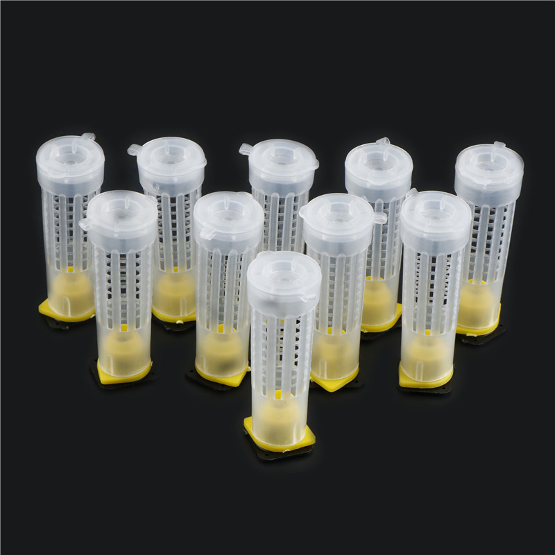 10Pcs Beekeeping Rearing Cup Kit Bee Queen Cages Roller Beekeeper Equipmen.-tz