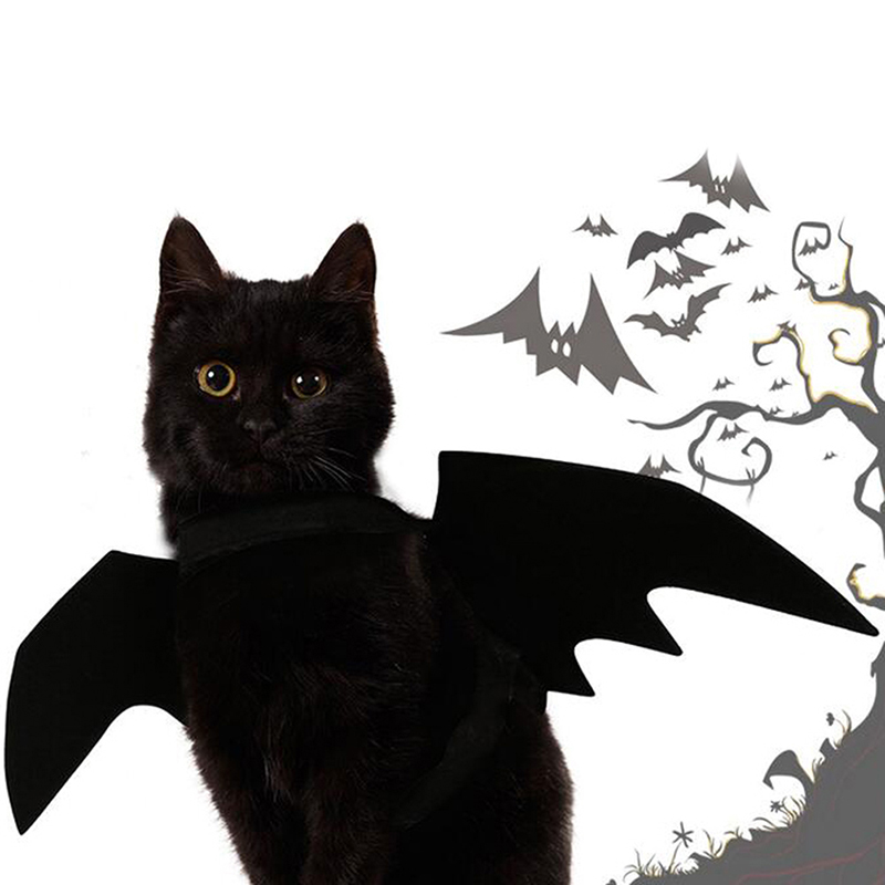 Bellissimo per cane di piccola taglia gatto ali di pipistrello ali di Halloween ali di Halloween costume) TS