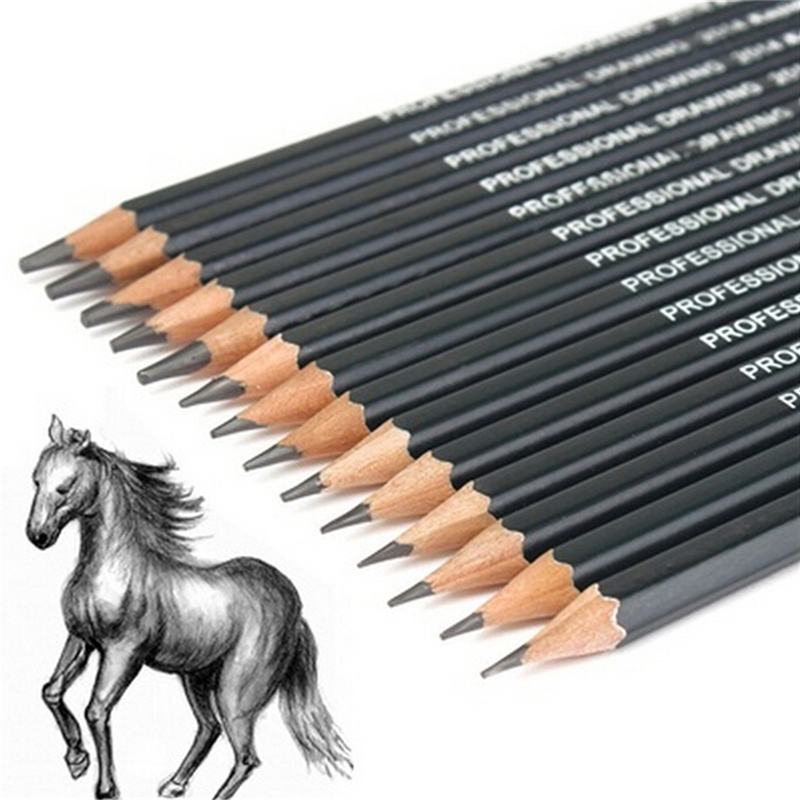 Professinal Set Of 14 Sketch Art Drawing Pencil 6H-12B Sketching Penci ...